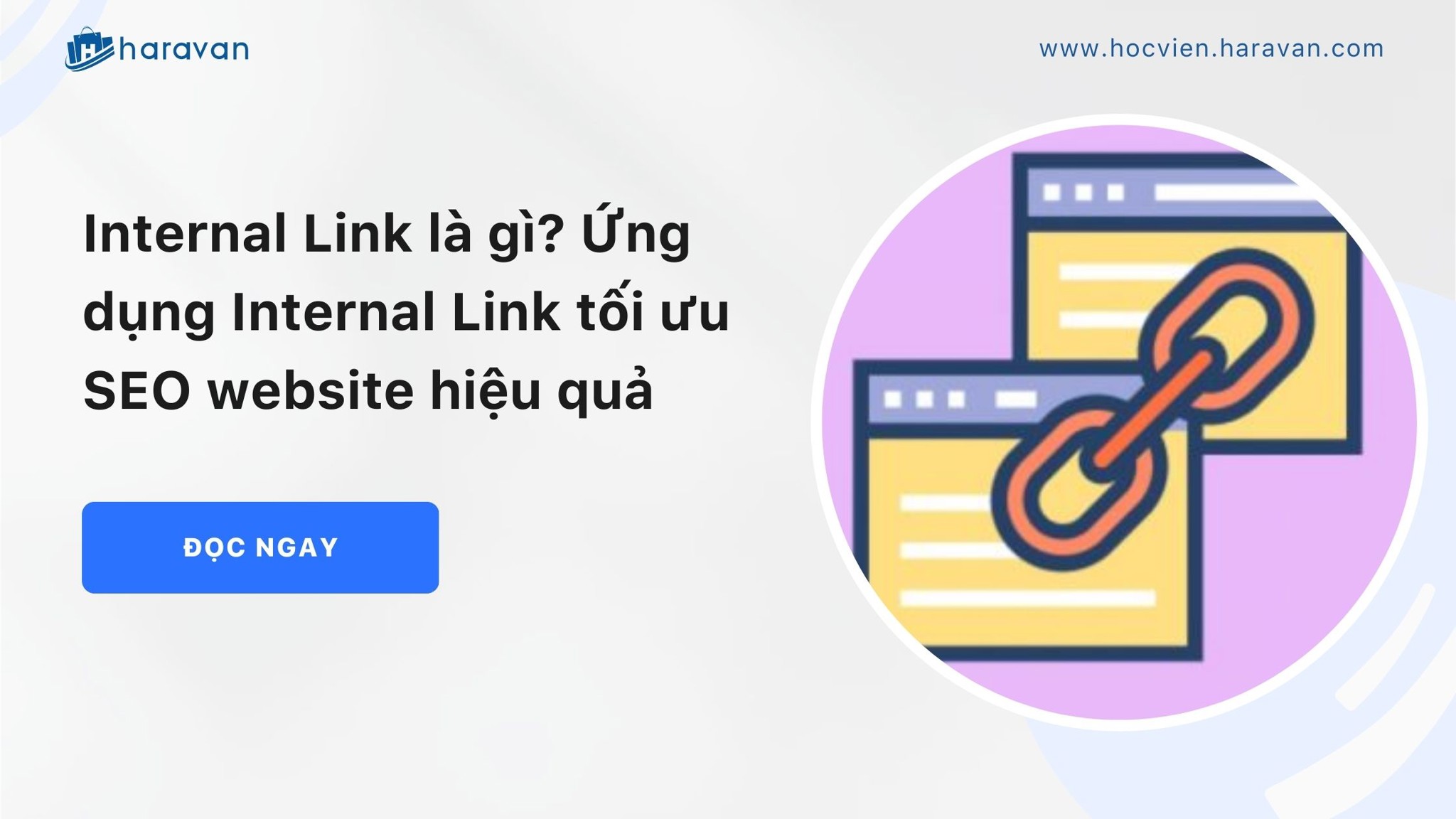 Internal Link là gì? Ứng dụng Internal Link tối ưu website hiệu quả