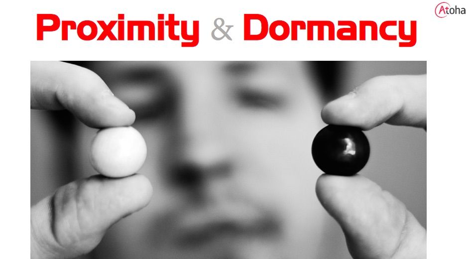 Proximity Vs Dormancy Trong Bài Thi Pmp® Atoha