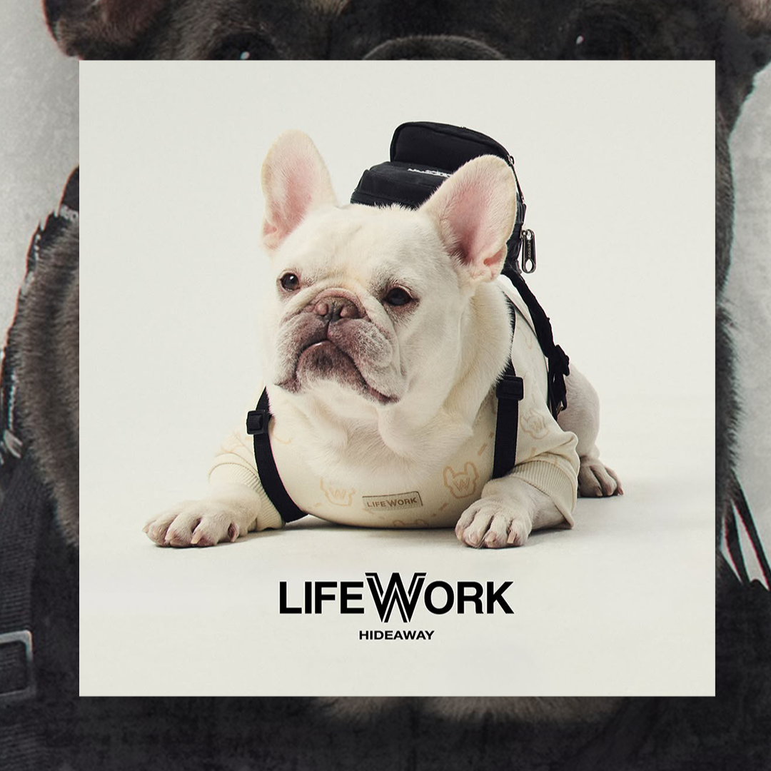 Cách Phân Biệt Áo Lifework Thật Và Giả? Mua Sản Phẩm Lifework Ở Đâu? – ADLV, NEWERA, MLB