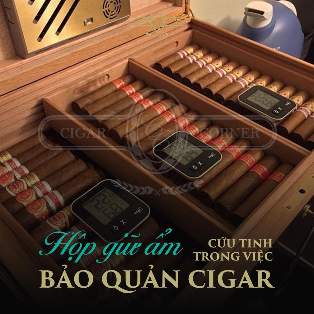 HỘP GIỮ ẨM - CỨU TINH TRONG VIỆC BẢO QUẢN CIGAR – Cigar Corner