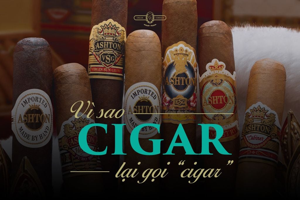 Có thể bạn chưa biết – Cigar Corner