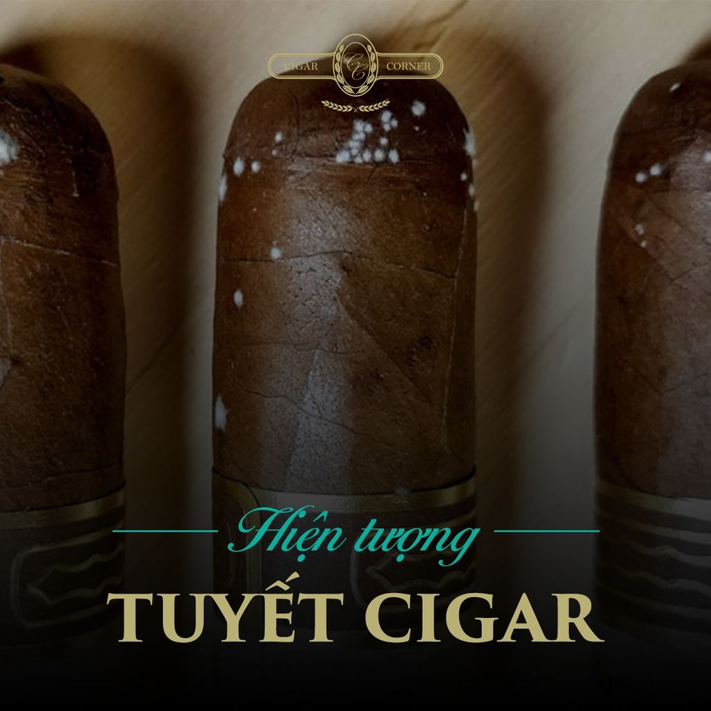 HIỆN TƯỢNG TUYẾT CIGAR – Cigar Corner
