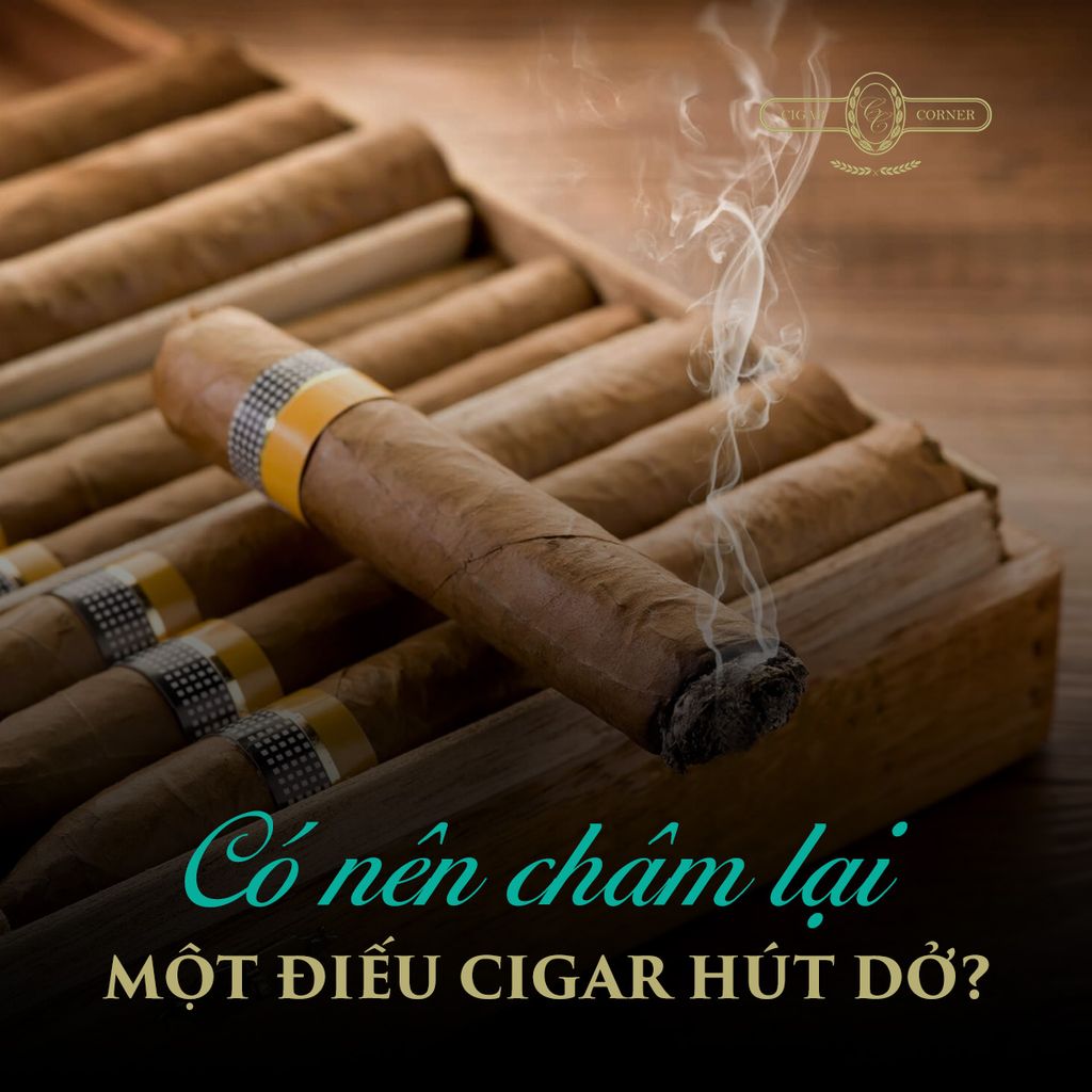 CÓ NÊN CHÂM LẠI MỘT ĐIẾU CIGAR HÚT DỞ – Cigar Corner