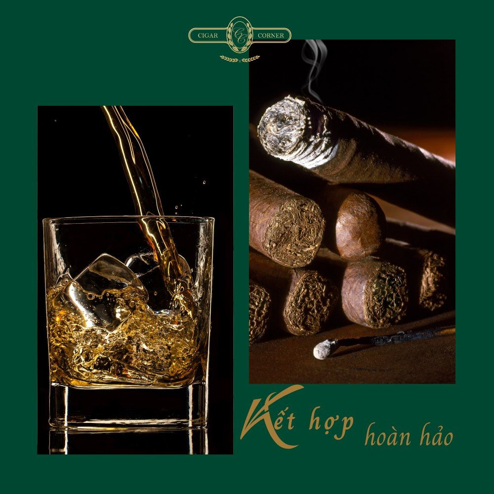 WHISKY & CIGAR - CẶP ĐÔI HOÀN HẢO THƯỢNG HẠNG – Cigar Corner