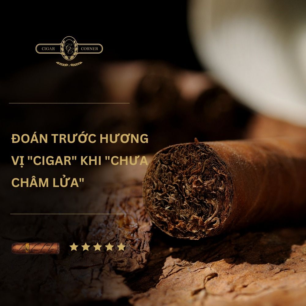 ĐOÁN TRƯỚC HƯƠNG VỊ CIGAR KHI CHƯA HÚT, LIỆU CÓ THỂ? – Cigar Corner