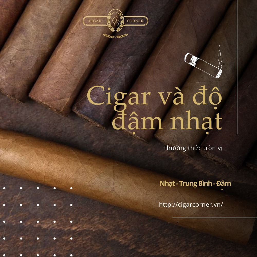 CHỌN XÌ GÀ - THƯỞNG VỊ NGON – Cigar Corner