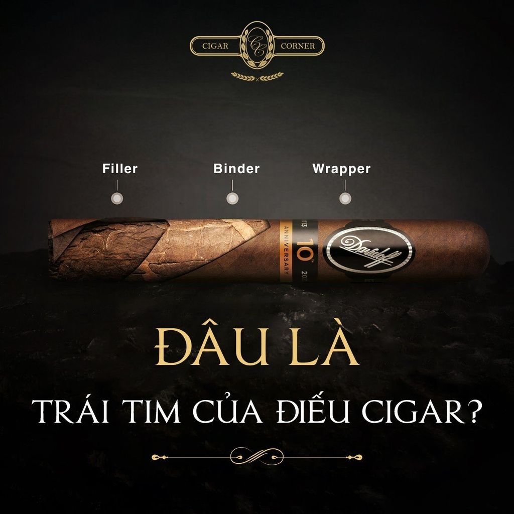 ĐÂU LÀ TRÁI TIM CỦA ĐIẾU CIGAR? – Cigar Corner