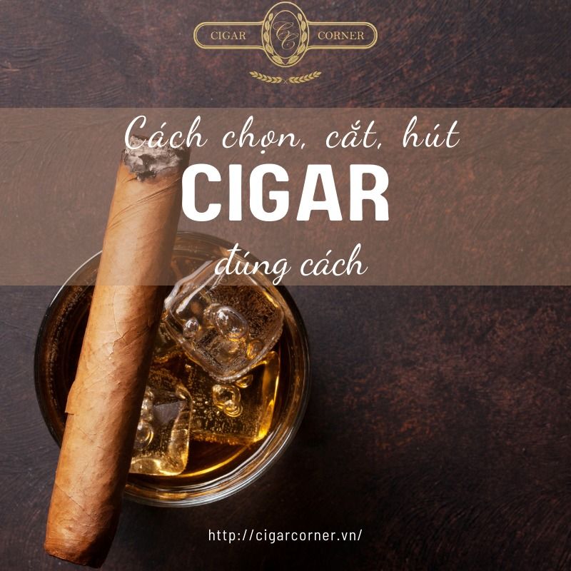 CÁCH CHỌN, CẮT, VÀ HÚT CIGAR ĐÚNG CÁCH – Cigar Corner