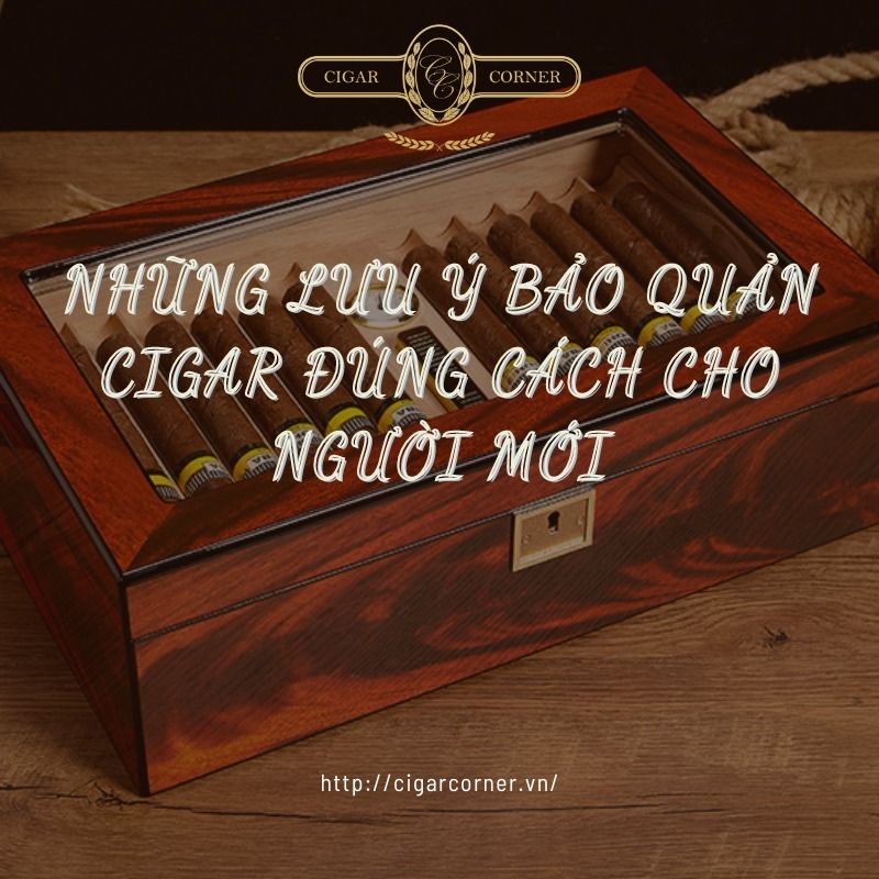 NHỮNG LƯU Ý BẢO QUẢN CIGAR ĐÚNG CÁCH CHO NGƯỜI MỚI – Cigar Corner