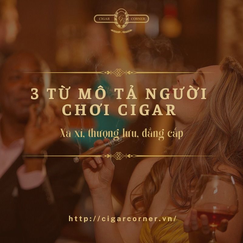 3 TỪ NÀO DÙNG ĐỂ MÔ TẢ NGƯỜI CHƠI CIGAR – Cigar Corner