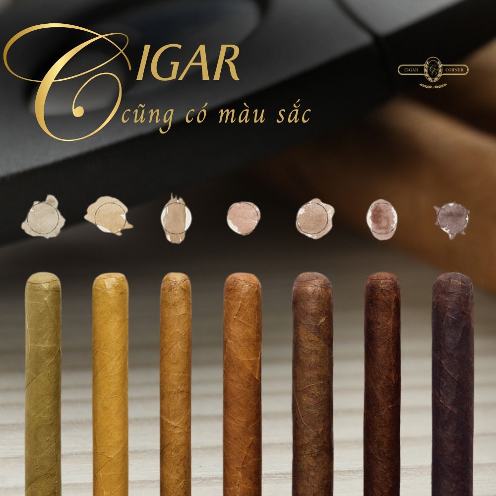 KHI CIGAR CŨNG CÓ MÀU SẮC – Cigar Corner