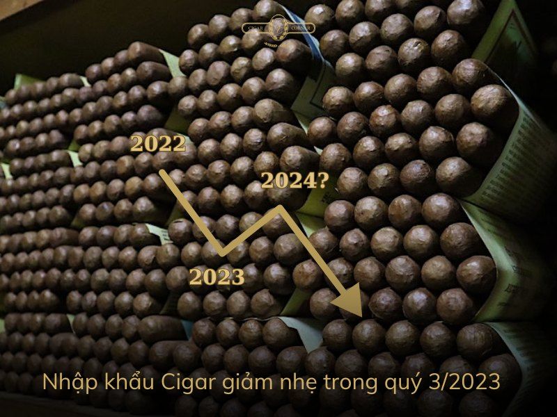 NHẬP KHẨU CIGAR GIẢM NHẸ QUÝ 3/2023 – Cigar Corner