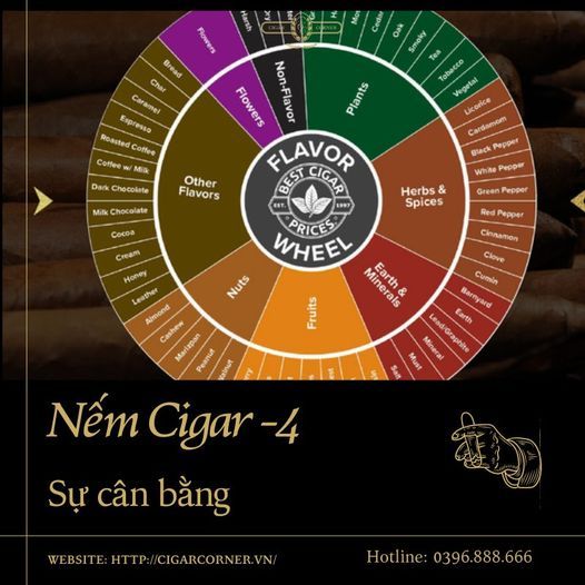 "NẾM" THỬ CIGAR ĐỂ NHẬN BIẾT ĐỘ NGON || 4 – Cigar Corner
