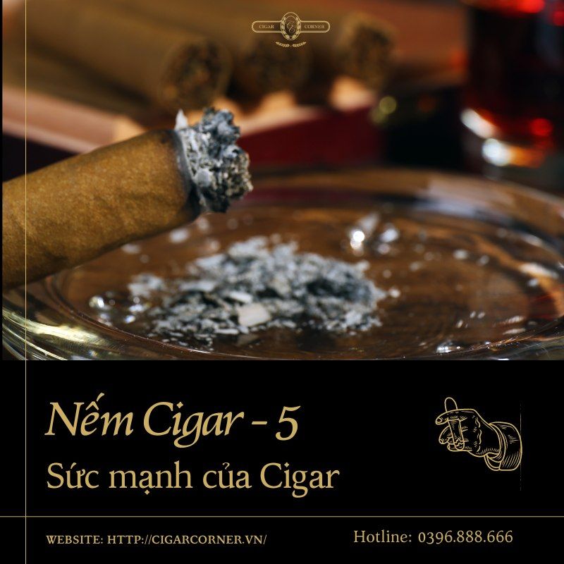 "NẾM" THỬ CIGAR ĐỂ NHẬN BIẾT ĐỘ NGON || 5 – Cigar Corner
