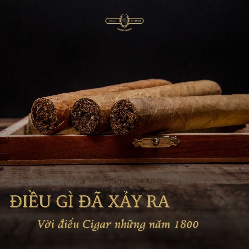 NHỮNG ĐIỀU ÍT AI BIẾT VỀ TRANG SỬ CỦA ĐIẾU CIGAR – Cigar Corner