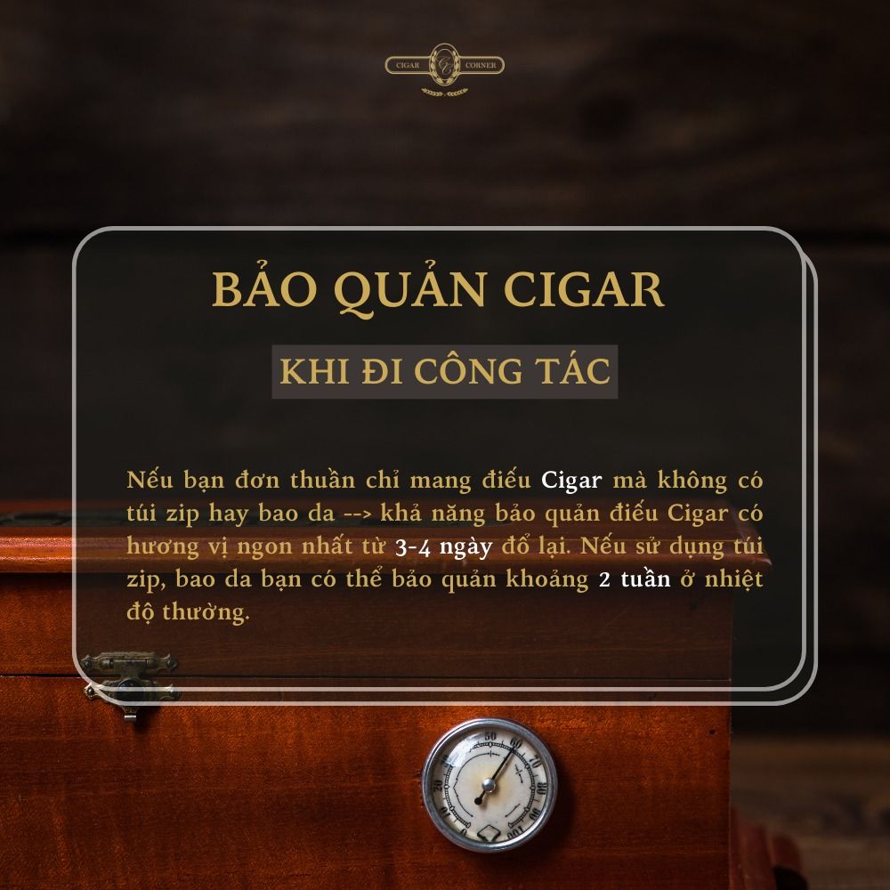 CIGAR CHỈ BẢO QUẢN TRONG VÒNG 3 NGÀY NẾU Ở NGOÀI??? – Cigar Corner