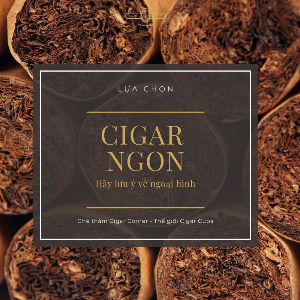 MỘT ĐIẾU CIGAR NGON LÀ MỘT ĐIẾU CIGAR CÓ ĐỦ TIÊU CHÍ – Cigar Corner