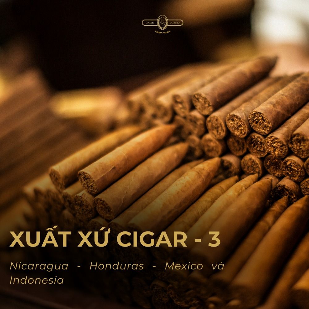 XUẤT XỨ CỦA CIGAR VÀ TƯ LIỆU LỊCH SỬ || 3 – Cigar Corner