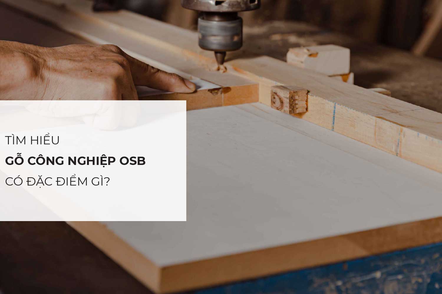 Tìm Hiểu Gỗ Công Nghiệp OSB Có Đặc Điểm Gì?