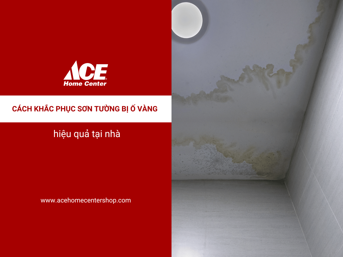 Cách khắc phục sơn tường bị ố vàng hiệu quả tại nhà - ACE Home Center VN