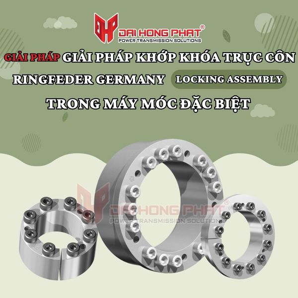 GIẢI PHÁP KHỚP KHÓA TRỤC CÔN RINGFEDER GERMANY (LOCKING ASSEMBLY) TRON