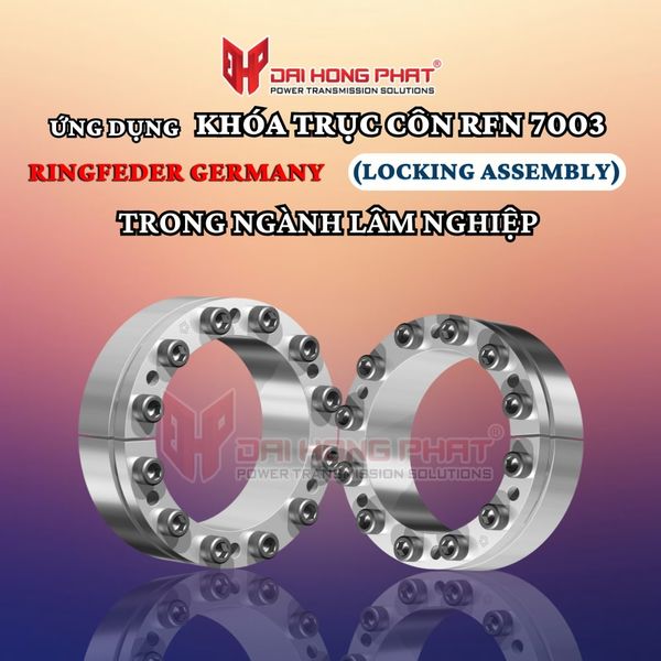 ỨNG DỤNG KHÓA TRỤC CÔN RFN 7003 RINGFEDER GERMANY (LOCKING ASSEMBLY) T