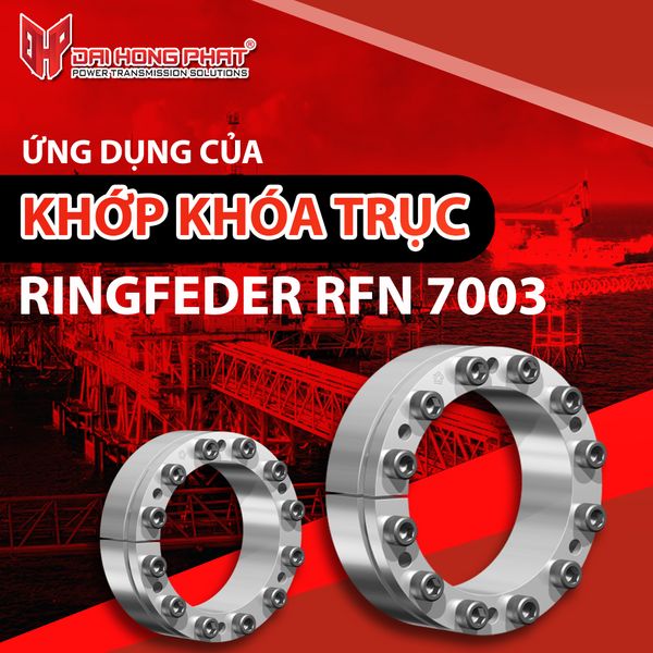 ỨNG DỤNG CỦA KHỚP KHÓA TRỤC RINGFEDER RFN 7003 (LOCKING ASSEMBLY)