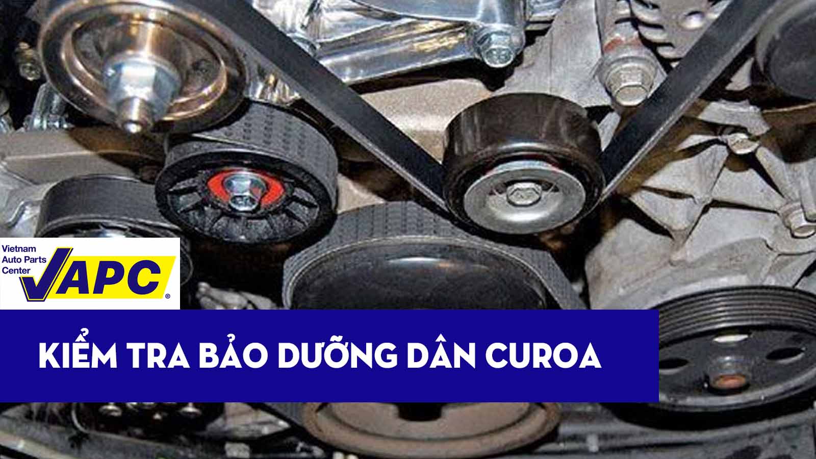 Cách xử lý khi bị đứt dây curoa – VAPC