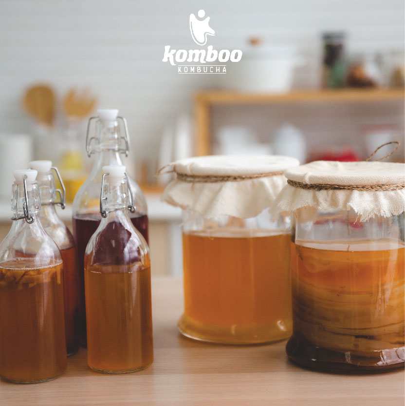 Mách bạn cách bảo quản Kombucha đúng chuẩn – Trà thủy sâm Komboo