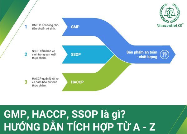 GMP, HACCP, SSOP là gì? | Hướng dẫn tích hợp – Viện Đào Tạo Vinacontrol