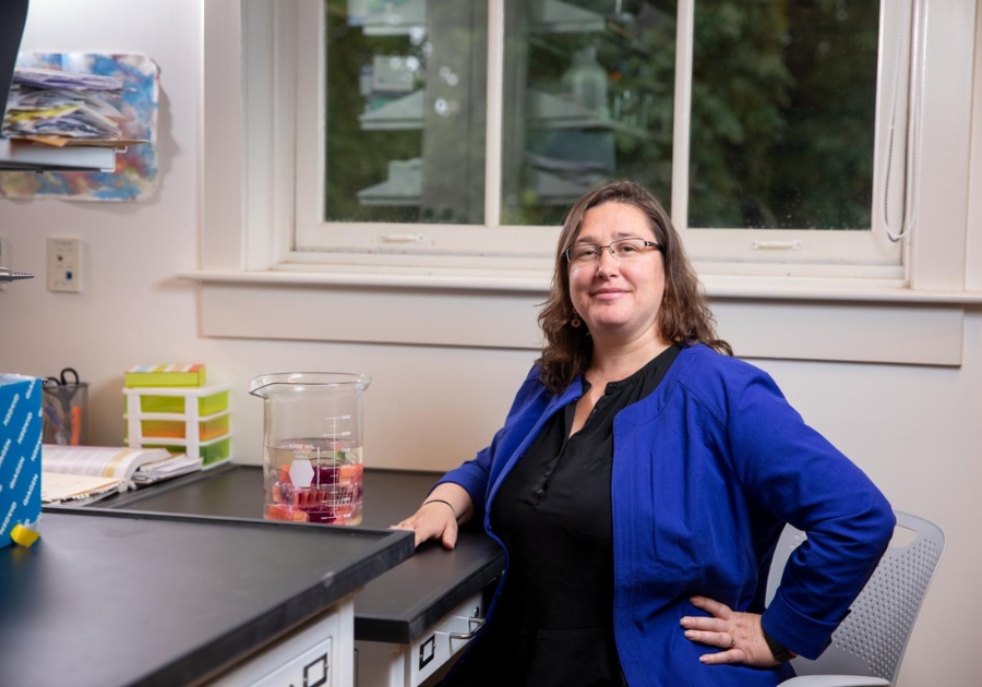 Phụ nữ mang thai tăng nguy cơ U.T Vú khi tiếp xúc với chất bảo quản – Dr. Baumann VN