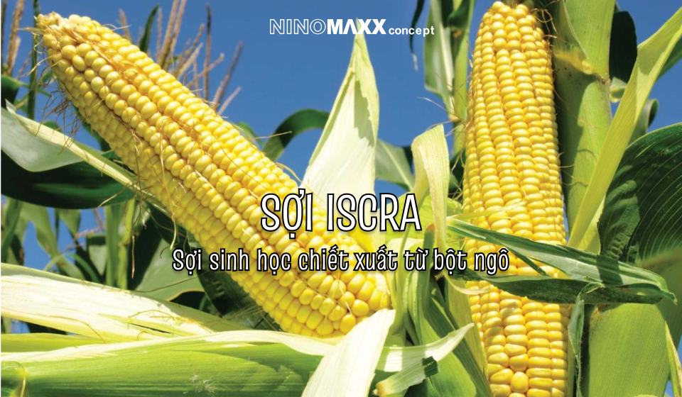 Tìm hiểu về chất liệu sợi Iscra - chiết xuất bột ngô INinomaxx Concept