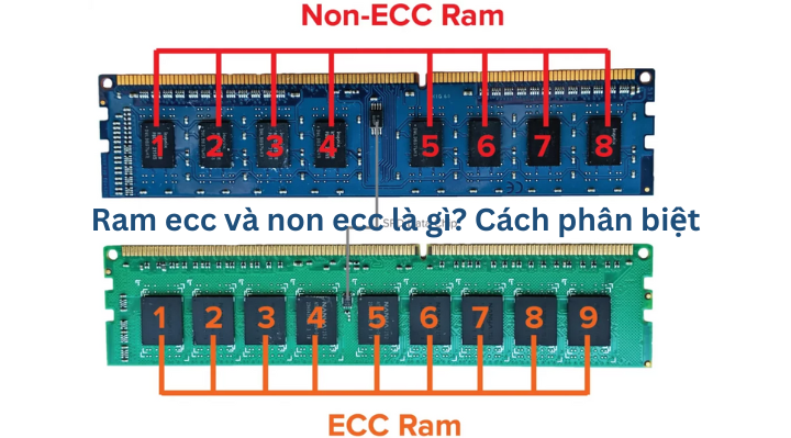 Ram ecc và non ecc là gì? Cách phân biệt