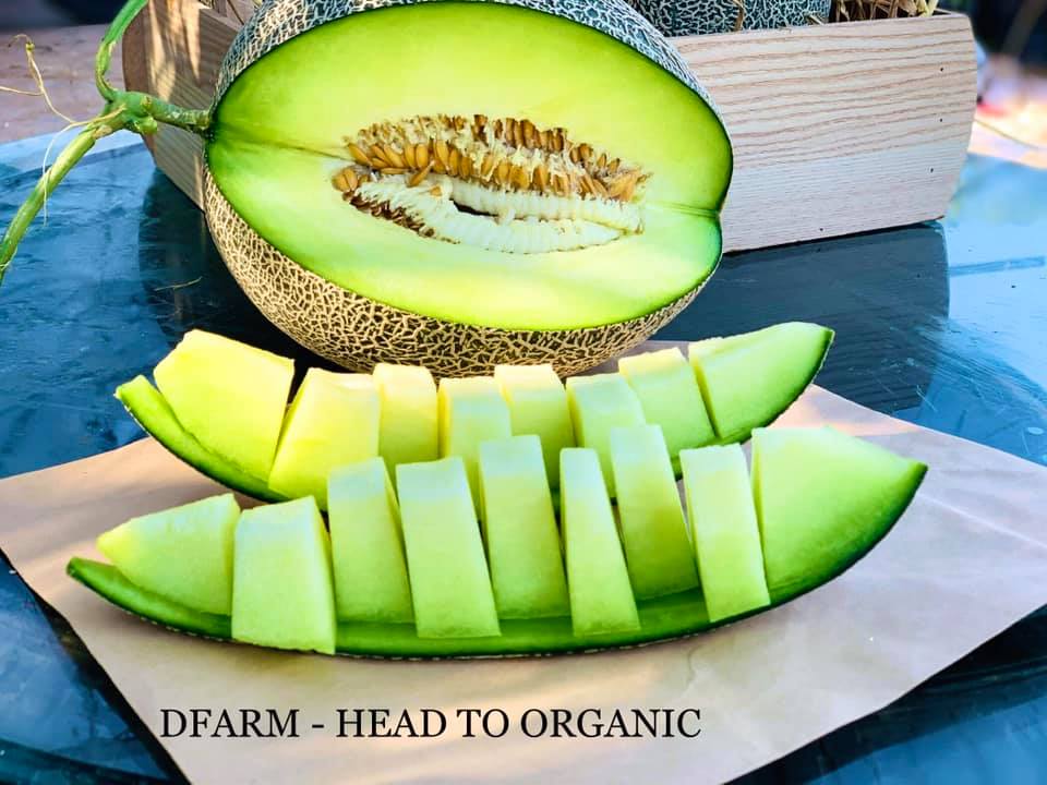 Dưa Lưới Xanh Là Gì 10 Lợi ích Tuyệt Vời Của Dưa Lưới Xanh Với Sức Kh Dfarm Organic