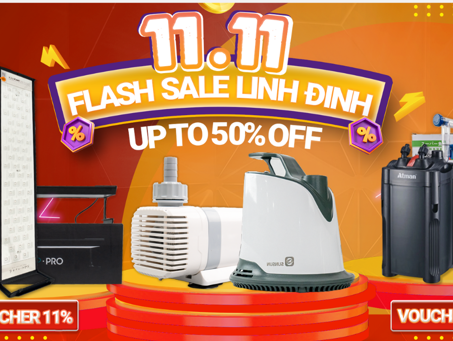 Đại Hội FLASH SALE 11.11, Voucher Thả Ga - AquaZone - Siêu thị cá cảnh
