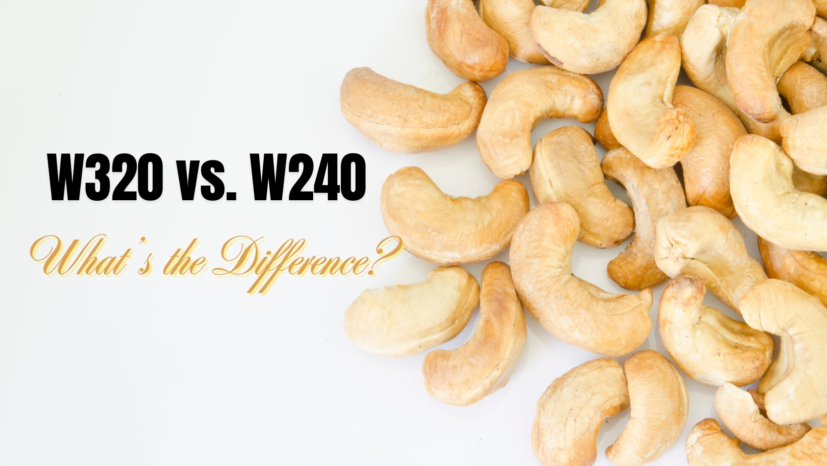W320 vs. W240 Cashew Grades – What’s the Difference? – OTIS BÌNH PHƯỚC