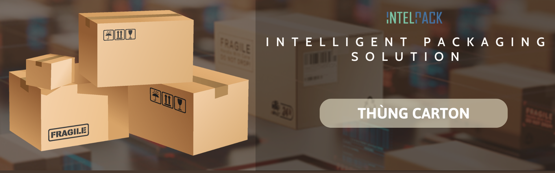 Hộp Carton Nắp Gập – INTELPACK