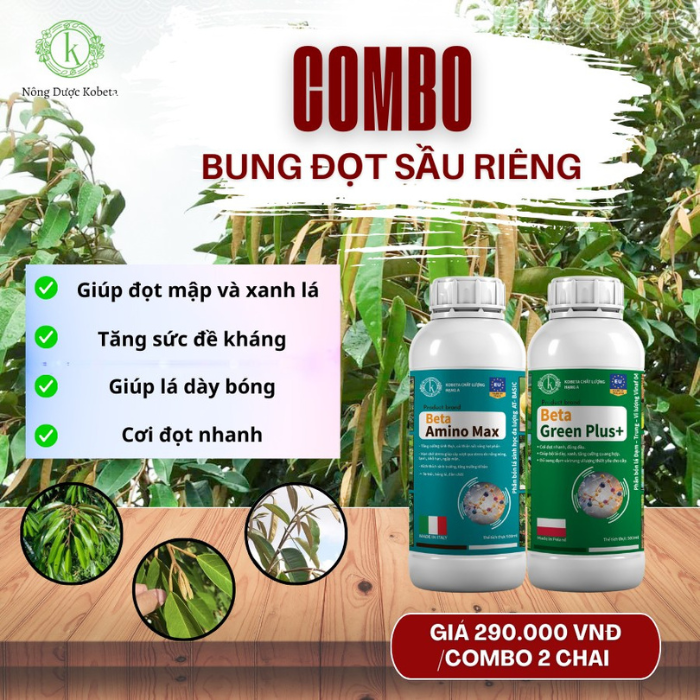Combo Phân Bón Bung Đọt Sầu Riêng Siêu Hiệu Quả – Nông Dược Kobeta