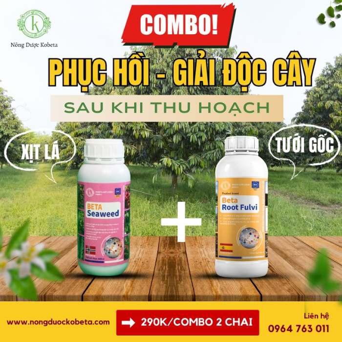 Combo Phục Hồi - Giải Độc Cây Trồng Hiệu Quả Sau Thu Hoạch – Nông Dược Kobeta