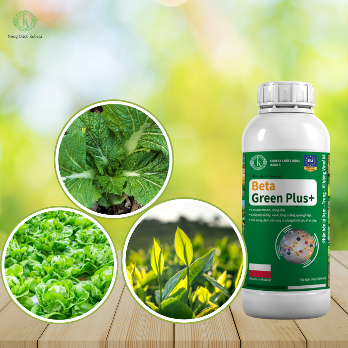 Phân Bón Lá Đạm – Trung Vi Lượng Beta Green Plus – Nông Dược Kobeta