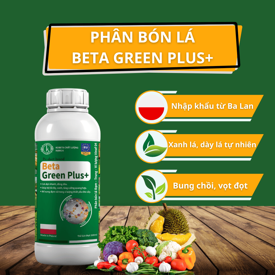 Phân Bón Đạm Hữu Cơ Beta Green Plus+ - Giải Pháp Tối Ưu Cho Cây Xanh M – Nông Dược Kobeta