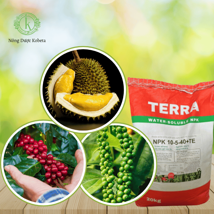 Phân Bón NPK 10-5-40 + TE – Tăng Cường Chất Lượng Quả Và Khả Năng Chốn – Nông Dược Kobeta