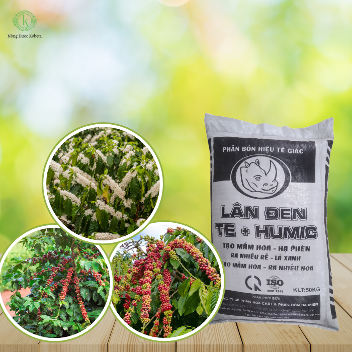Phân Lân Đen TE Humic – Giải Pháp Tăng Cường Phát Triển Rễ và Cải Tạo – Nông Dược Kobeta