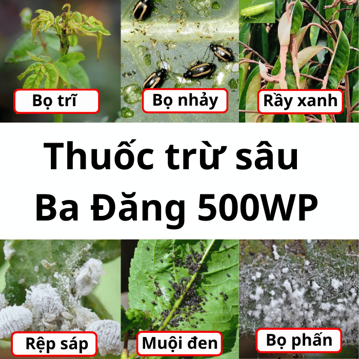 Thuốc Trừ Sâu Ba Đăng 500WP – Giải Pháp Hiệu Quả Đặc Trị Bọ Trĩ, Rầy X – Nông Dược Kobeta