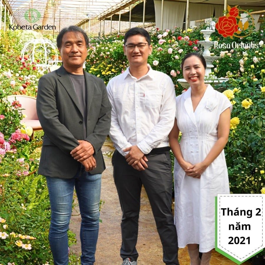 Hành Trình 8 Năm Bước Vào Thế Giới Hoa Hồng Của Kobeta Garden