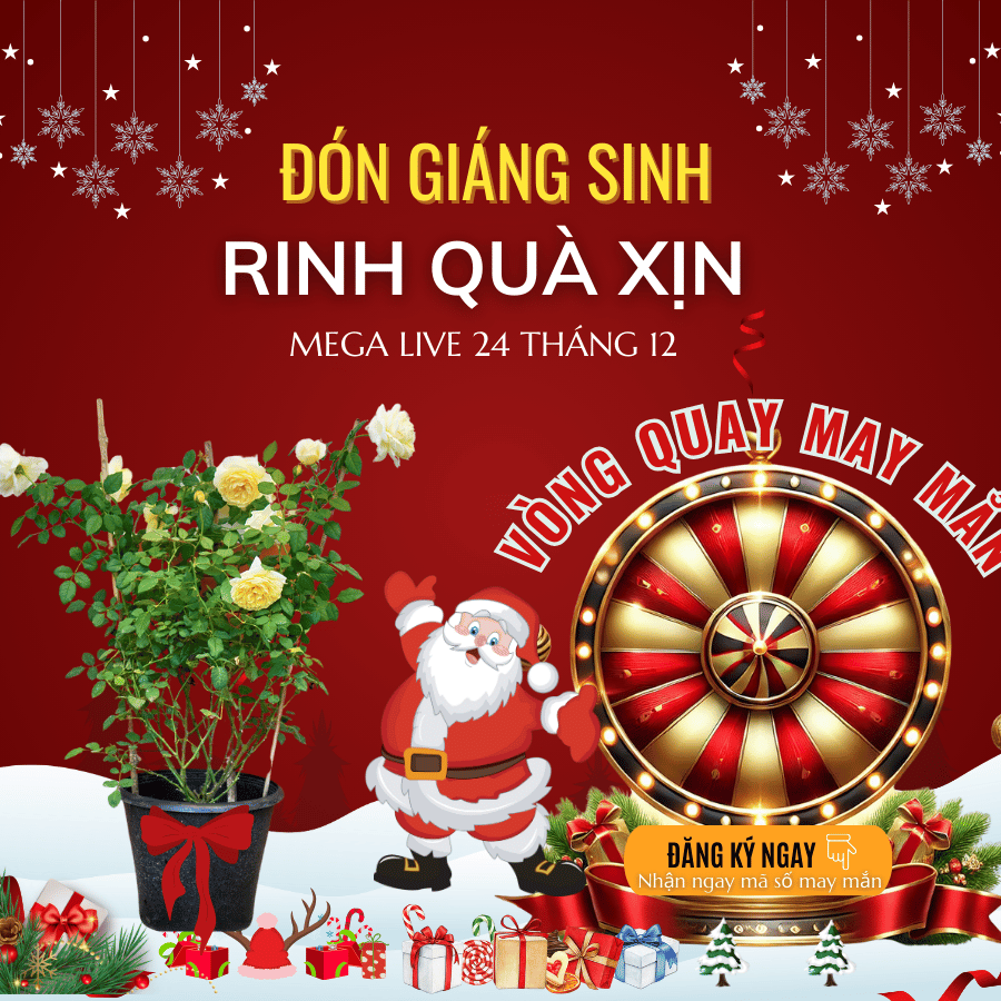Nhận Mã Số Vòng Quay May Mắn - MEGA LIVE 24/12 tại Kobeta Garden 🌟
