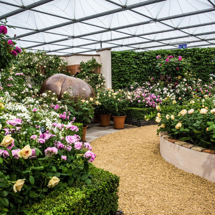 Vườn Hoa Hồng David Austin: Nơi Hội Tụ Của Những Tác Phẩm Nghệ Thuật – Kobeta Garden