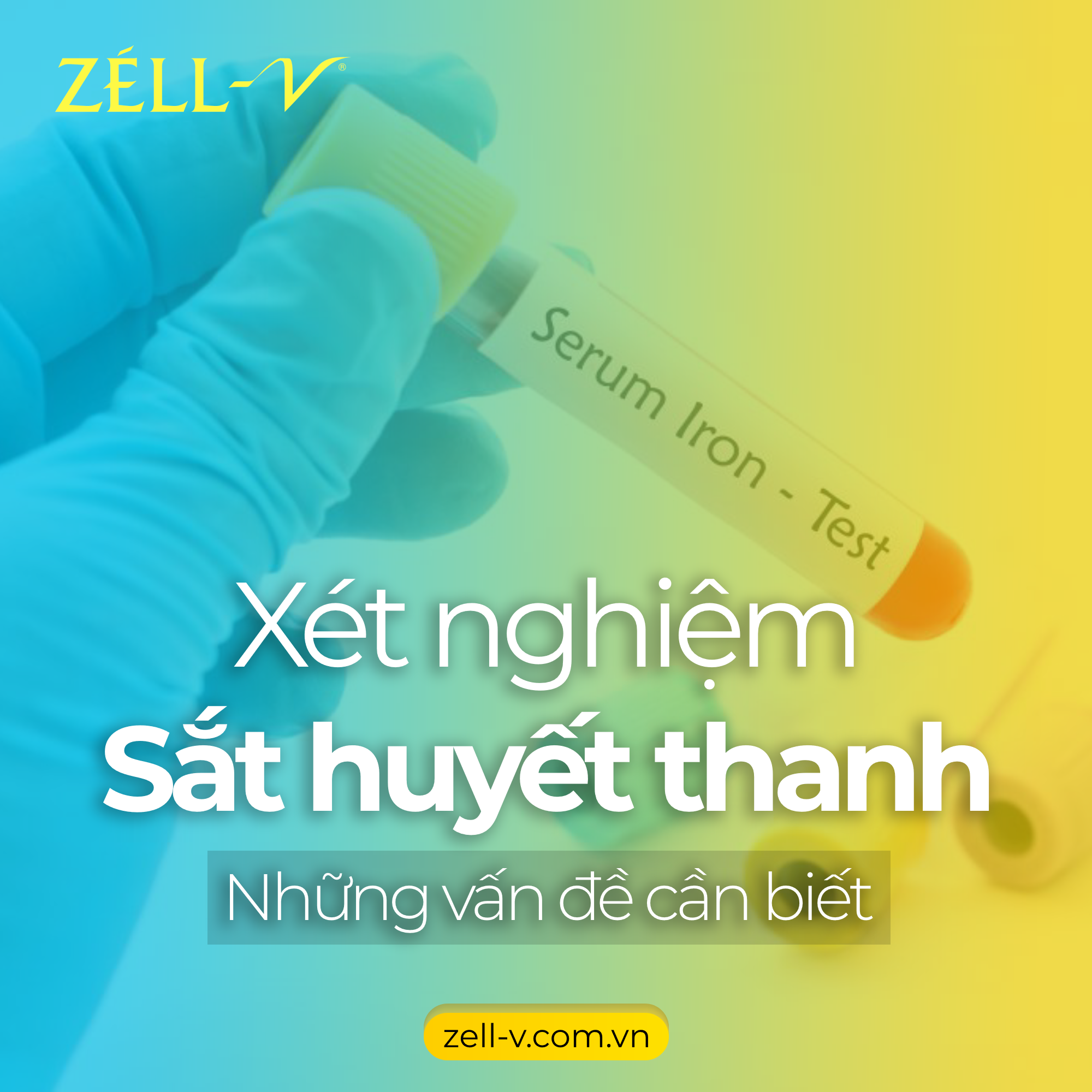 zell-v Việt Nam