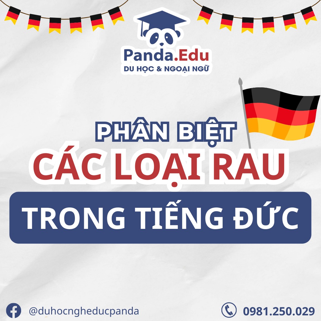 TỪ VỰNG THEO CHỦ ĐỀ: PHÂN BIỆT CÁC LOẠI RAU TRONG TIẾNG ĐỨC – PANDA EDUCATION