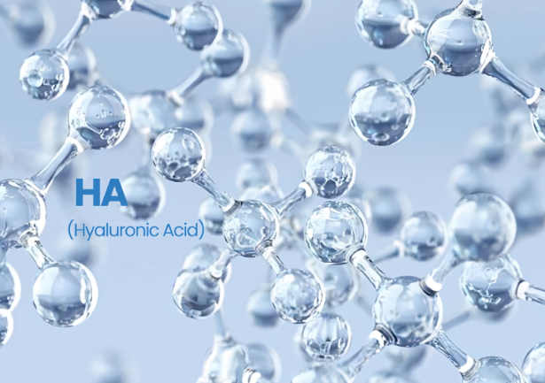 Hyaluronic Acid là gì? Tầm quan trọng của Hyaluronic Acid trong dưỡng ...